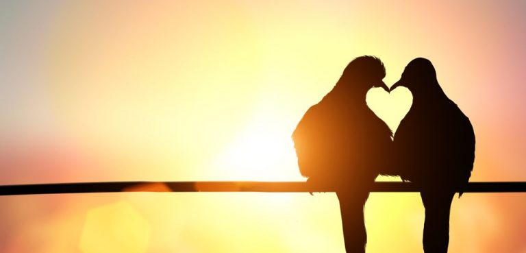 Lets Talk About Sex And Disability Cerebral Palsy News Today